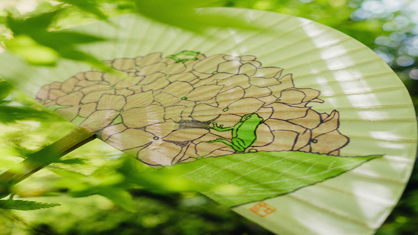 Collaboration with Japanese Illustrator and Printmaker Emi Hoshi ...